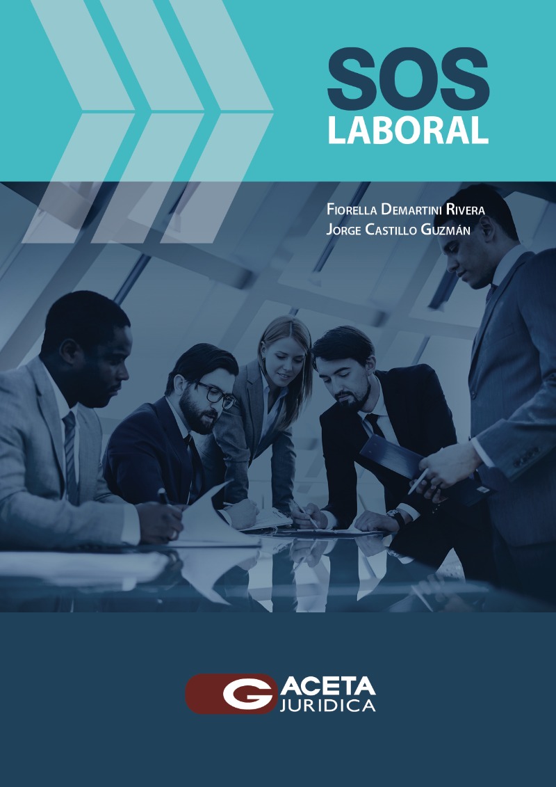 Libros Soluciones Laborales – DERECHO USMP